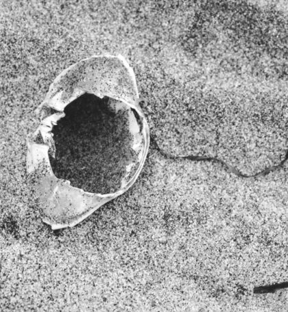 Trahan François | Culture Côte-Nord